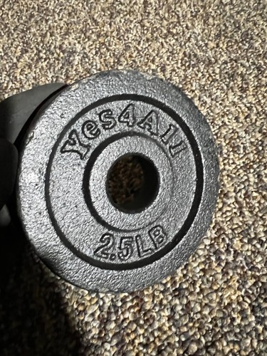 Yes4All 2.5lb Weight Plate 1-1/8" Hole Black | eBay