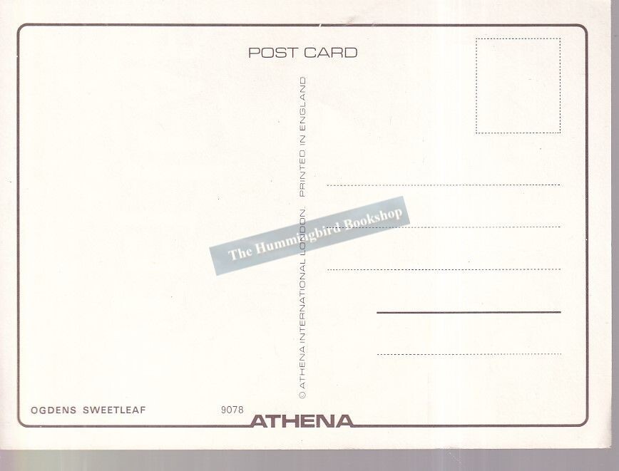 Ogdens Sweetleaf Athena Postcard #9078 Advertisement Collection B | eBay UK