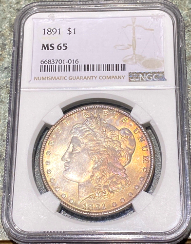 #AE58, Morgan Silver Dollar Beautiful Soft Toning 1891 P MS 65 NGC | eBay