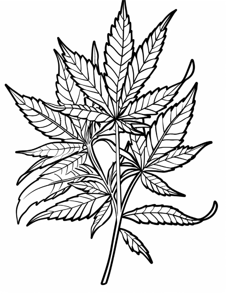 Stoners 3 Coloring Book | Trippy, far out fun | eBay