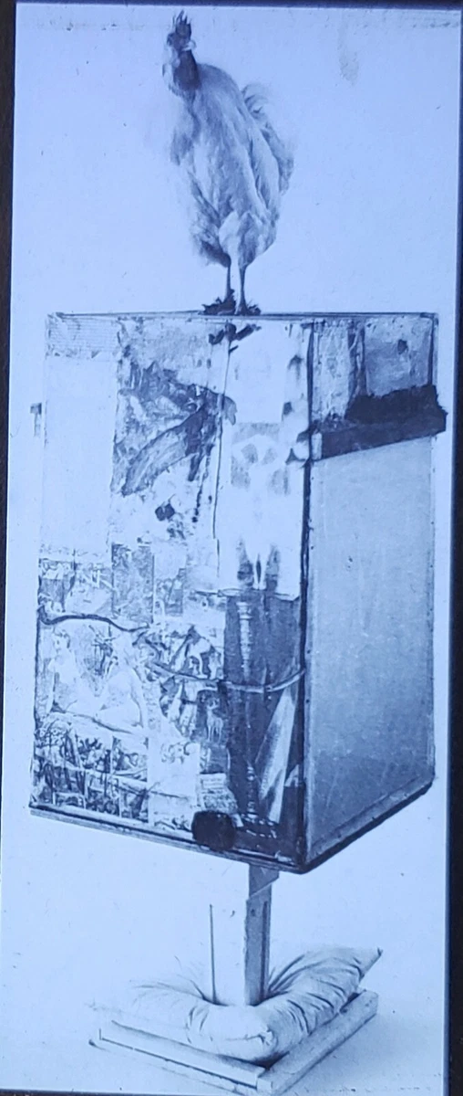 Robert Rauschenberg Odalisk