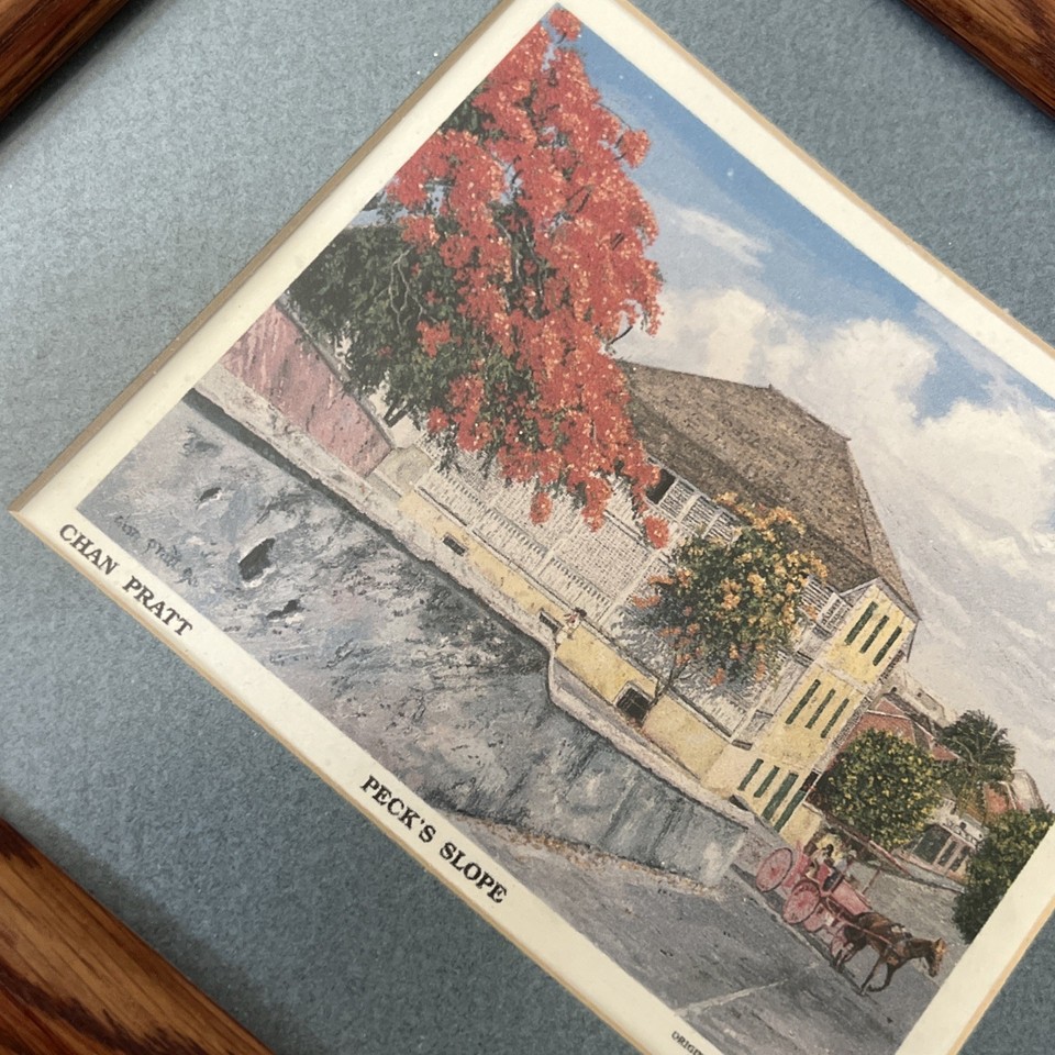 Beautiful Set of 2 Framed Prints Peck’s Slope Allamanda By Chan Pratt ...