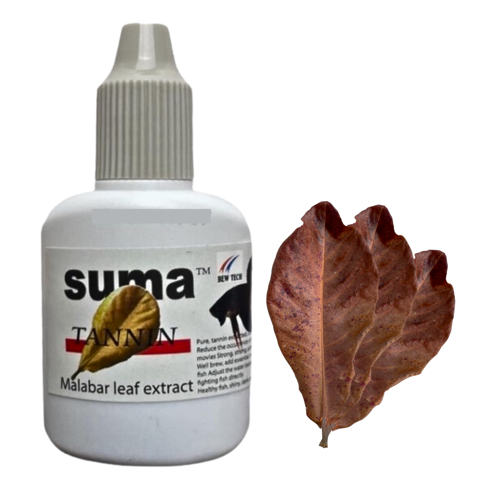 Suma Tannin Malabar Leaf Extract Betta Fish Tank Scales Strong Shiny ...