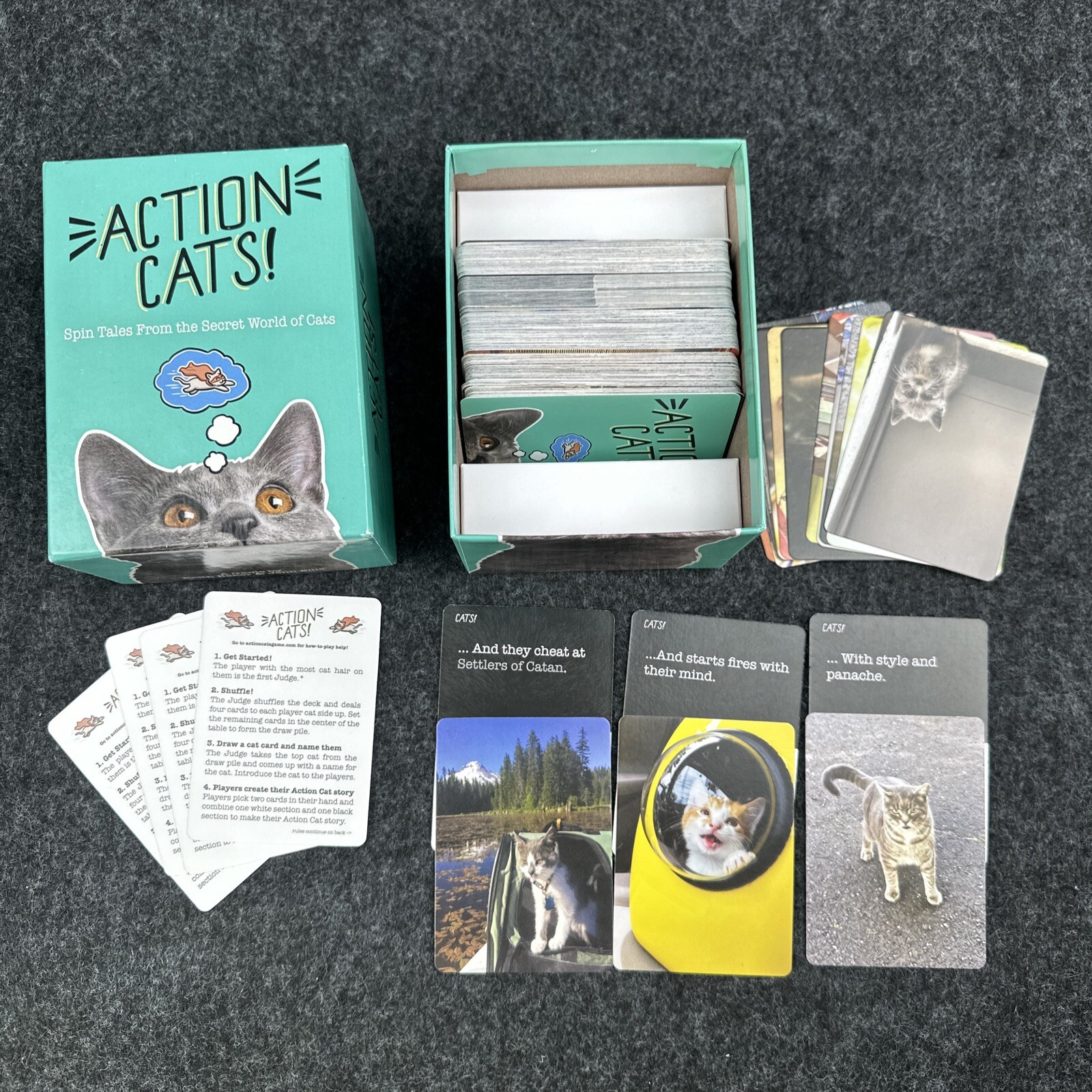 Action Cats! Spin Tales from the Secret World of Cats Card Game Party ...
