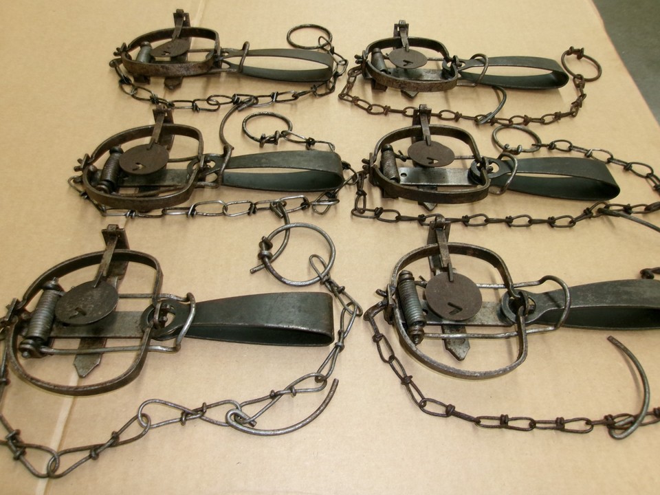 6) Victor No.1 Single Long Spring Stop Loss traps, Great Condition! | eBay
