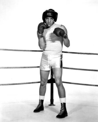 Elvis Presley full length pose in boxing ring from Kid Galahad24x36 ...