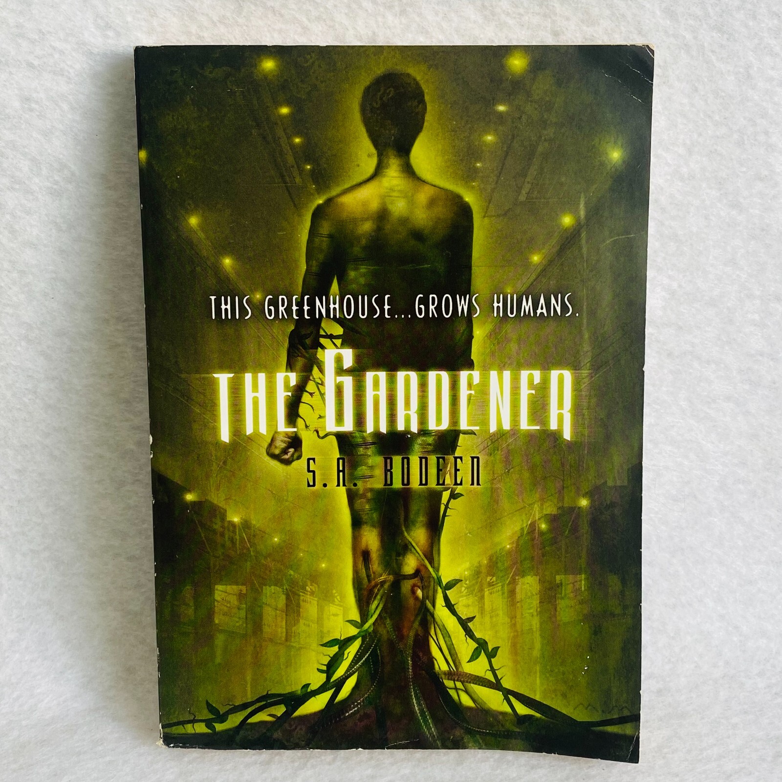 The Gardener By Sa Bodeen | Fasci Garden