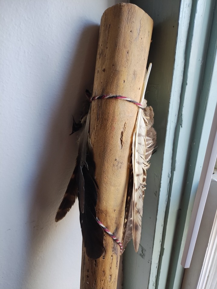 Vintage Native American RAIN STICK 59" Cacti Percussion Instrument | eBay