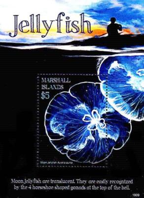 MARSHALLS 2019 MARINE LIFE / JELLYFISH S/S mnh 💲FREE SHIPPING💲 | eBay