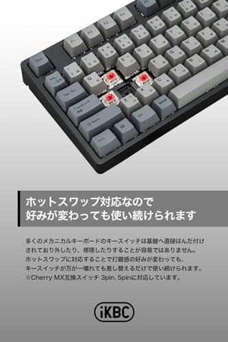 iKBC CD87 Tenkeyless Mechanical Keyboard Japanese Layout 91 Keys ...