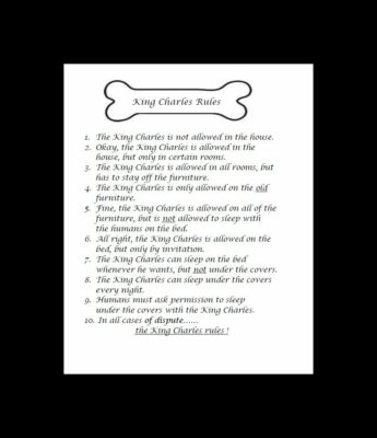 * King Charles Spaniel "Rules" - CUSTOM MATTED - Dog Art Print : GIFT ...