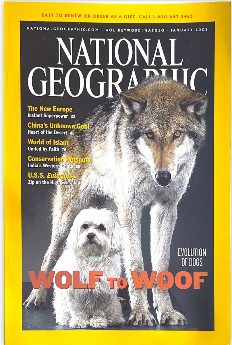 National Geographic Magazine Cover Animals
