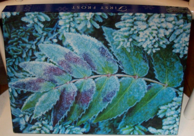 Springbok Puzzle ~ First Frost Crystalized Winter Leaves 500 pc ...
