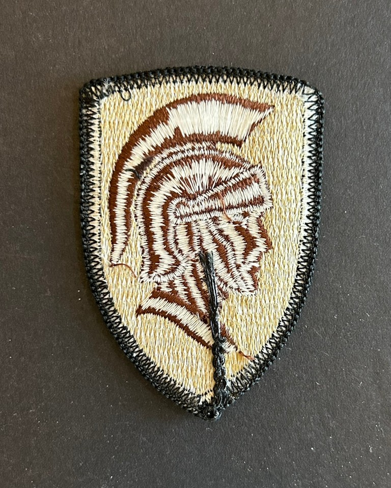 Desert US Army Sentinel Systems Command Patch Tan Camo Cold War | eBay