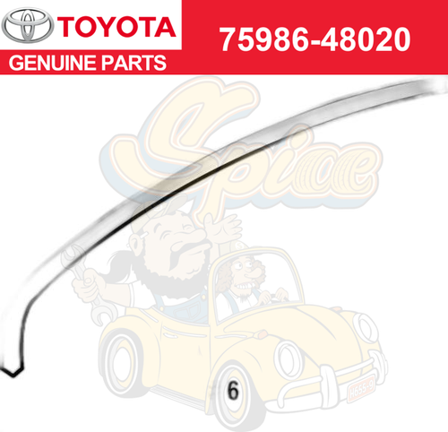 GENUINE RX350 RX330 RX400h EXTERIOR TRIM UPPER STRIPE (LEFT,DRIVER ...