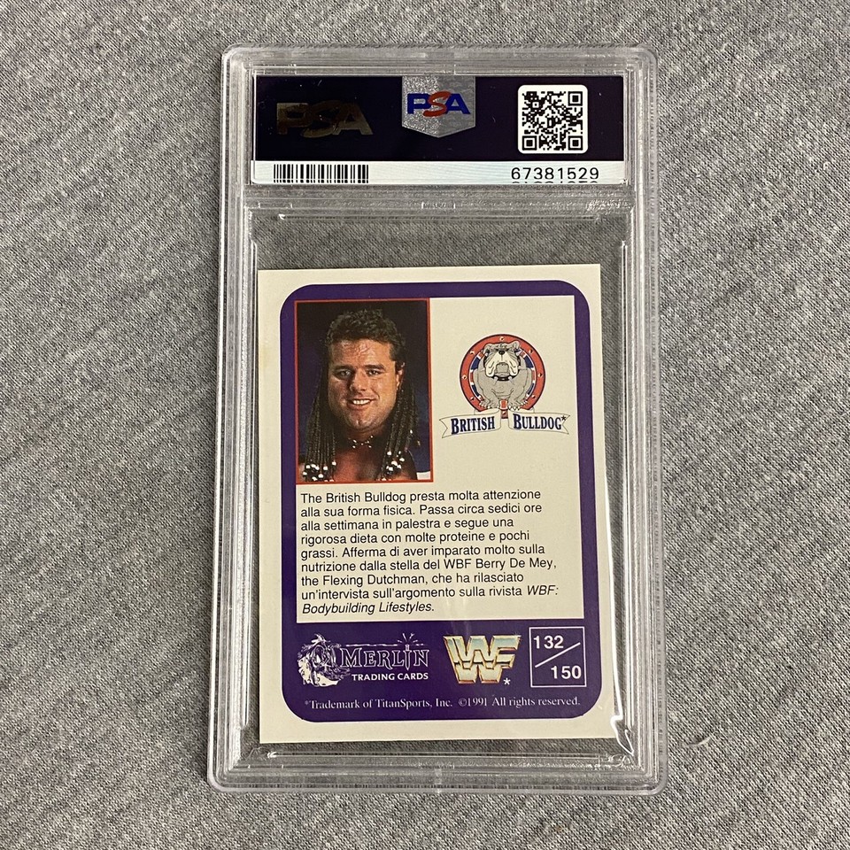 1991 Merlin WWF #13 British Bulldog Italian PSA 8 | eBay