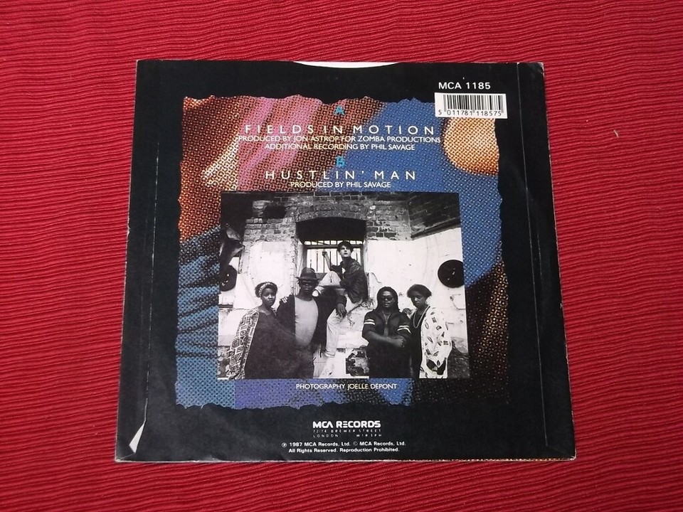 Popman & The Raging Bull: Fields In Motion 7" Near Mint | eBay UK