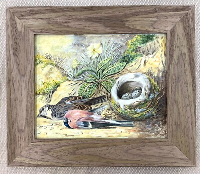 Antique 19th C. Watercolor Still life Dead Birds by Nest by Frederick ...