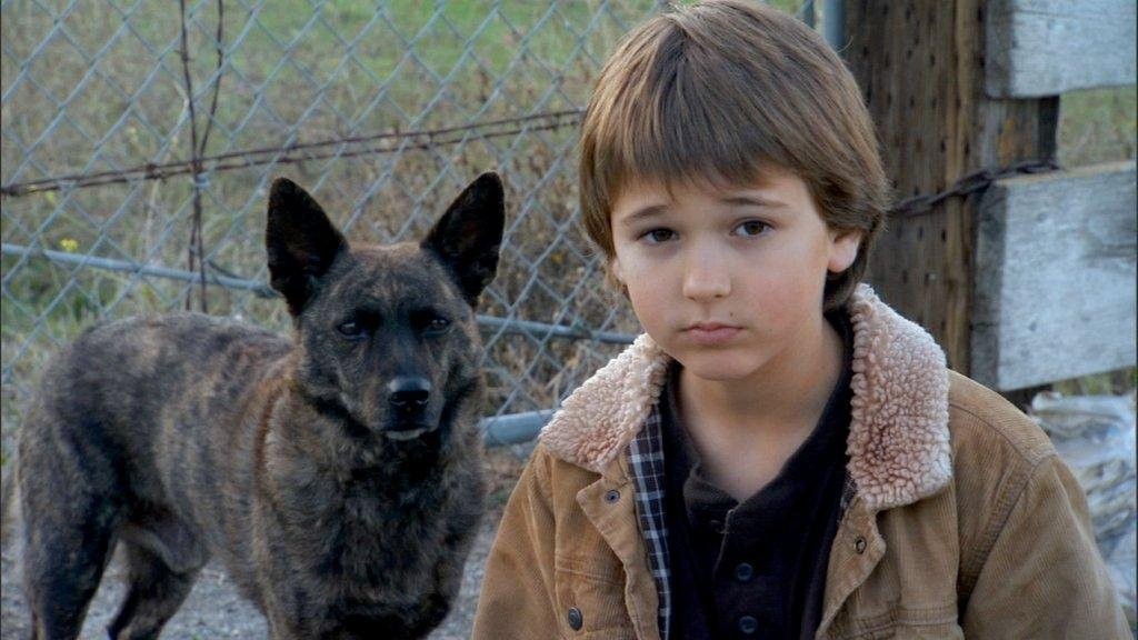 First Dog - Zurück nach Hause (DVD) (UK IMPORT) | eBay