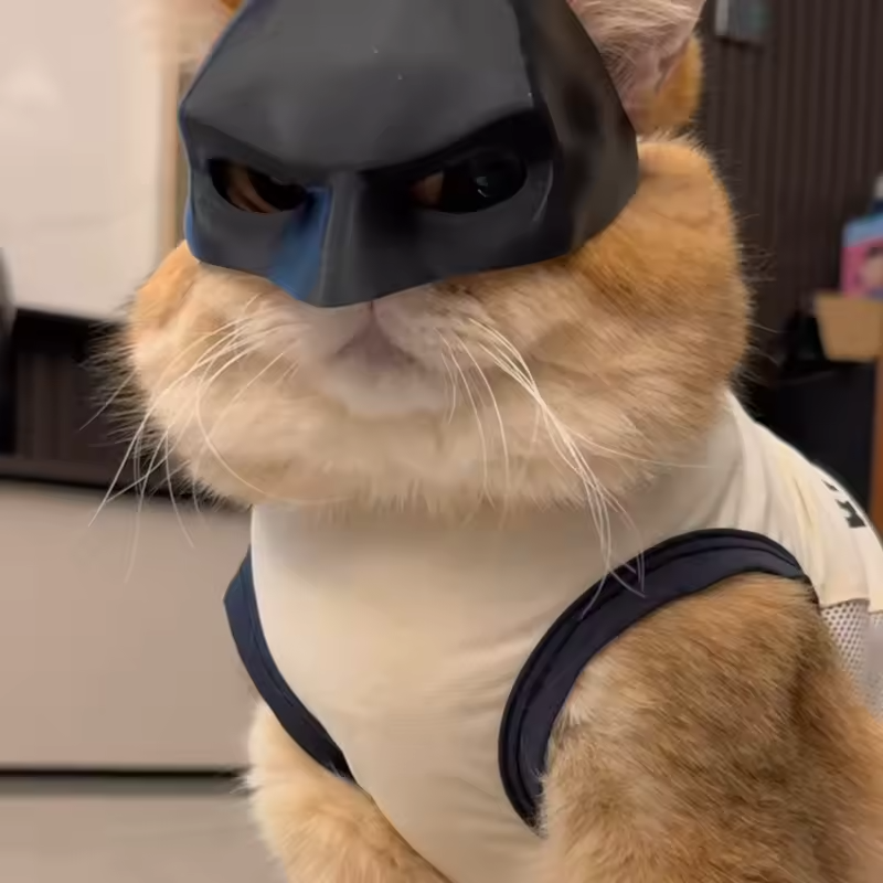 Pet Cat With Bat Cos Mask 3d Printed Avenger Mask Matte Cute Batcat ...