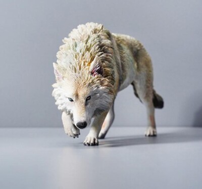 Jxk126C 1/6 White Prairie Gray Wolf 20*5*10.5cm Figure Simulation Model ...