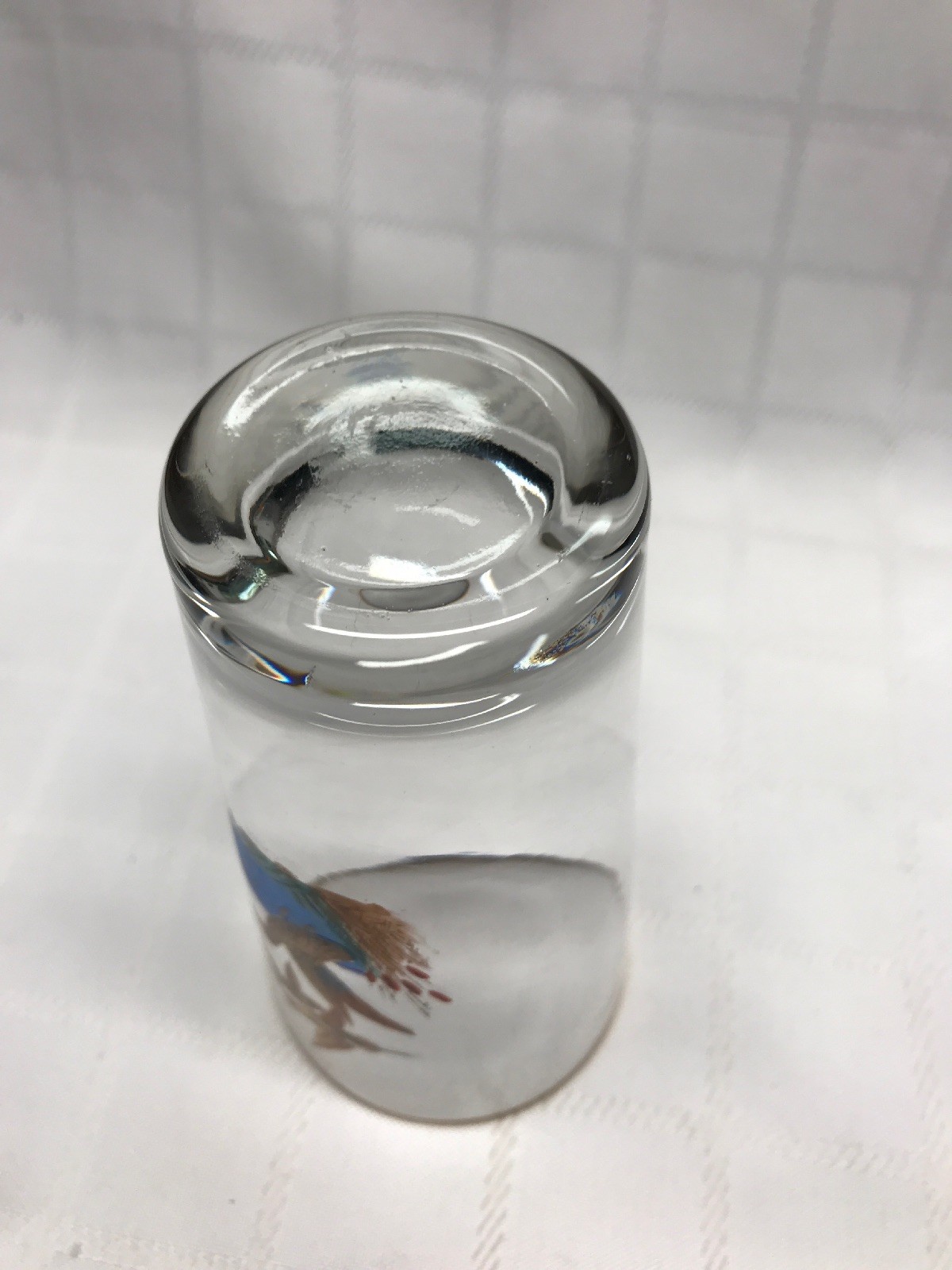 Duck Tumblers Set of 4 Glasses 4 Different Pics 16 oz Weighted Bottom ...