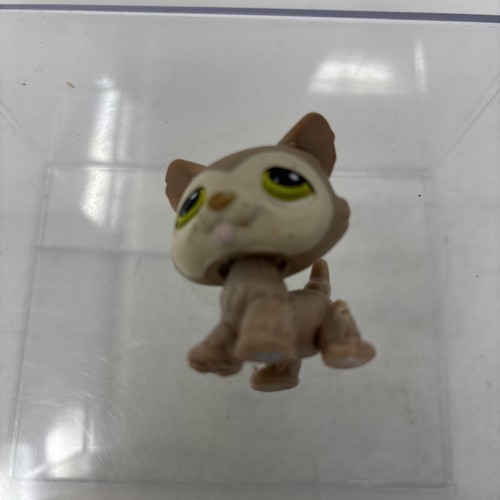 LPS Littlest Pet Shop #358 Tan Husky With Green Eyes Hasbro 2000 | eBay