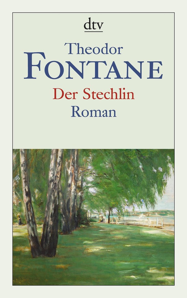 Der Stechlin Theodor Fontane Taschenbuch dtv- Klassiker 552 S. Deutsch ...