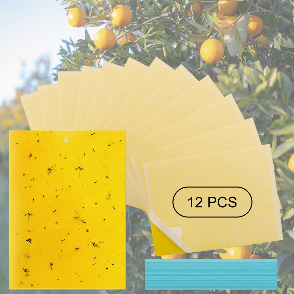 Sticky Fly Glue Trap Yellow Paper Trap Fruit Flies Insect Mosquitoes ...