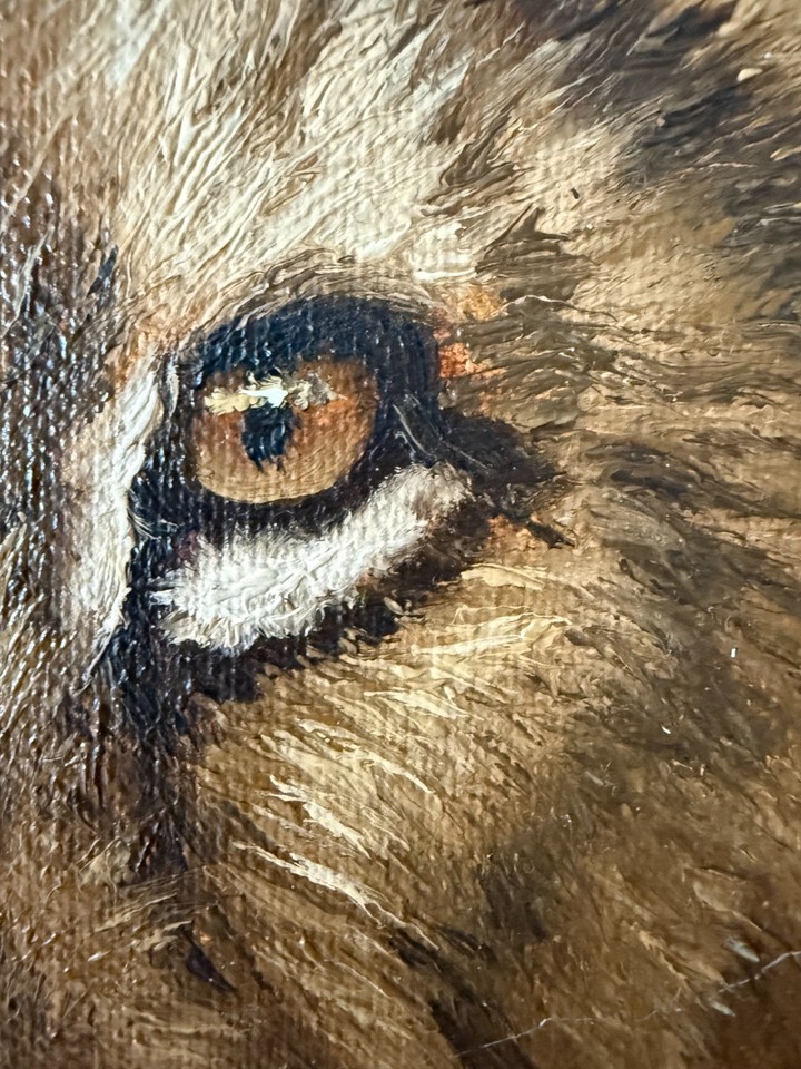 Original Oil Painting Lion Signed “Rex” – Ornate Gilt Wood Frame ...