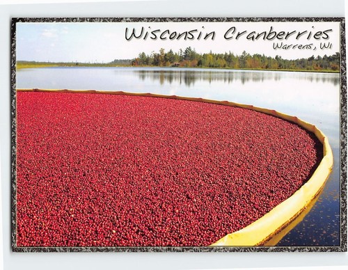 Postcard Wisconsin Cranberries Warrens Wisconsin USA | eBay