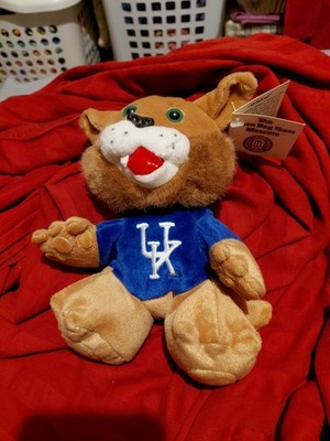 Kentucky Wildcats Stuffed Bean Plush WILDCAT NWT | eBay