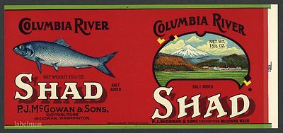 COLUMBIA RIVER SHAD, Washington, Seafood, AN ORIGINAL 1920s TIN CAN ...