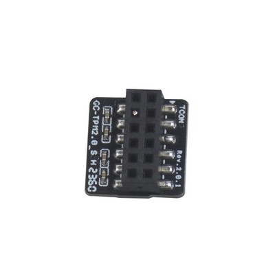For GIGABYTE GC-TPM20 Platform TPM 2.0 Security Module SPI 12Pin ...