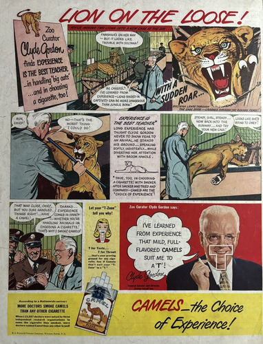1940 Camel Cigarettes Lion Loose Cartoon Clyde Gordon Doctors Smoke VTG Print Ad | eBay