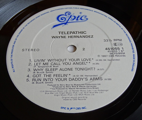 Wayne Hernandez - Telepathic (LP, Album) (Very Good Plus (VG+)) | eBay