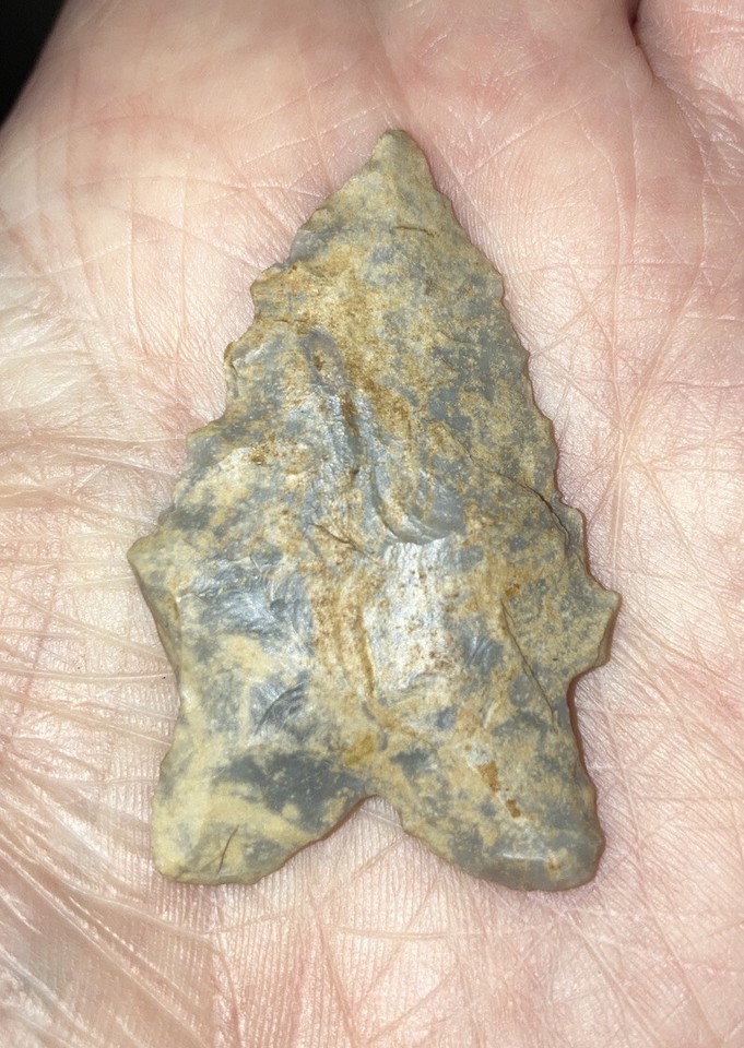 authentic arrowheads pre 1600 Awesome Deep South LeCroy Dalton Point | eBay