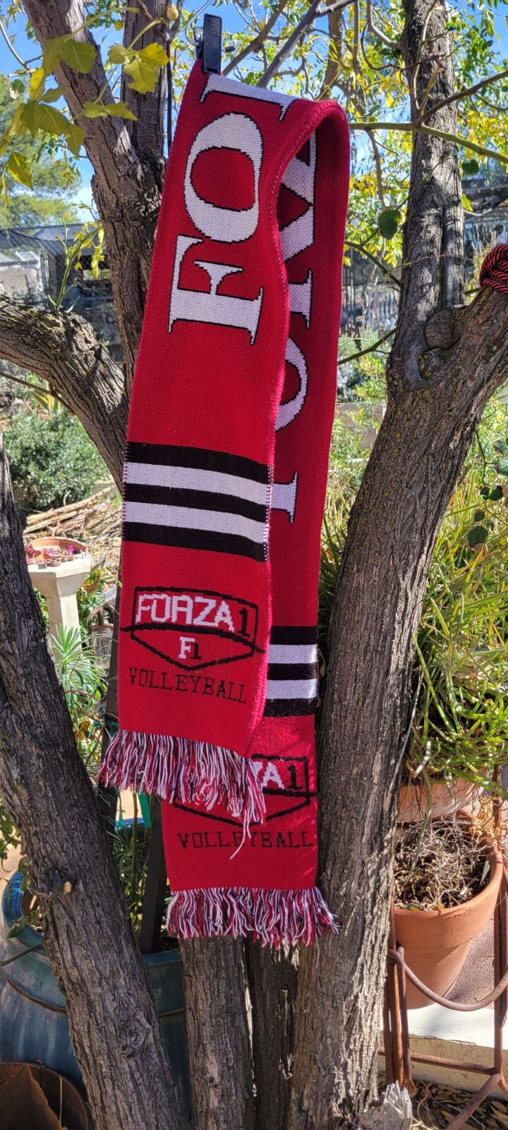 FOAZA1 F1 volleyball kntted scarf | eBay