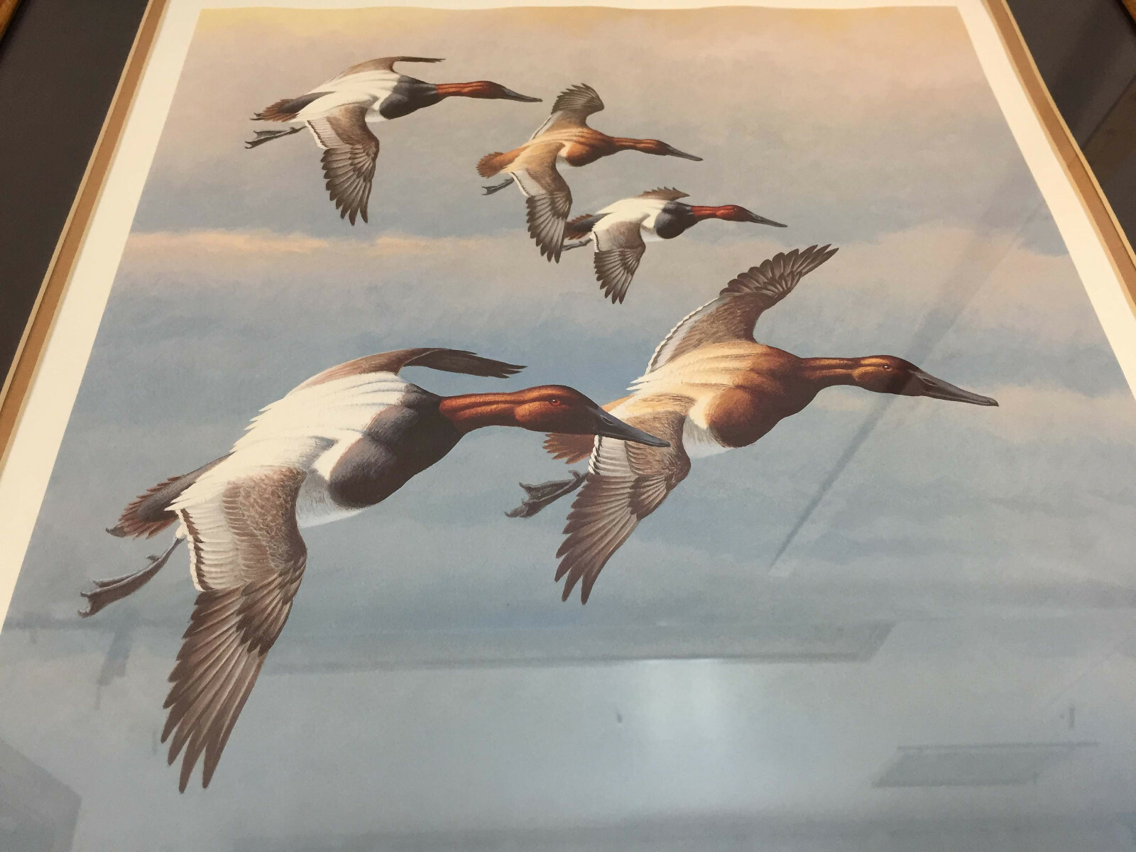 Windriders Ducks Print Signed Framed 28" Stamp & 2 Earth Day Coins ...