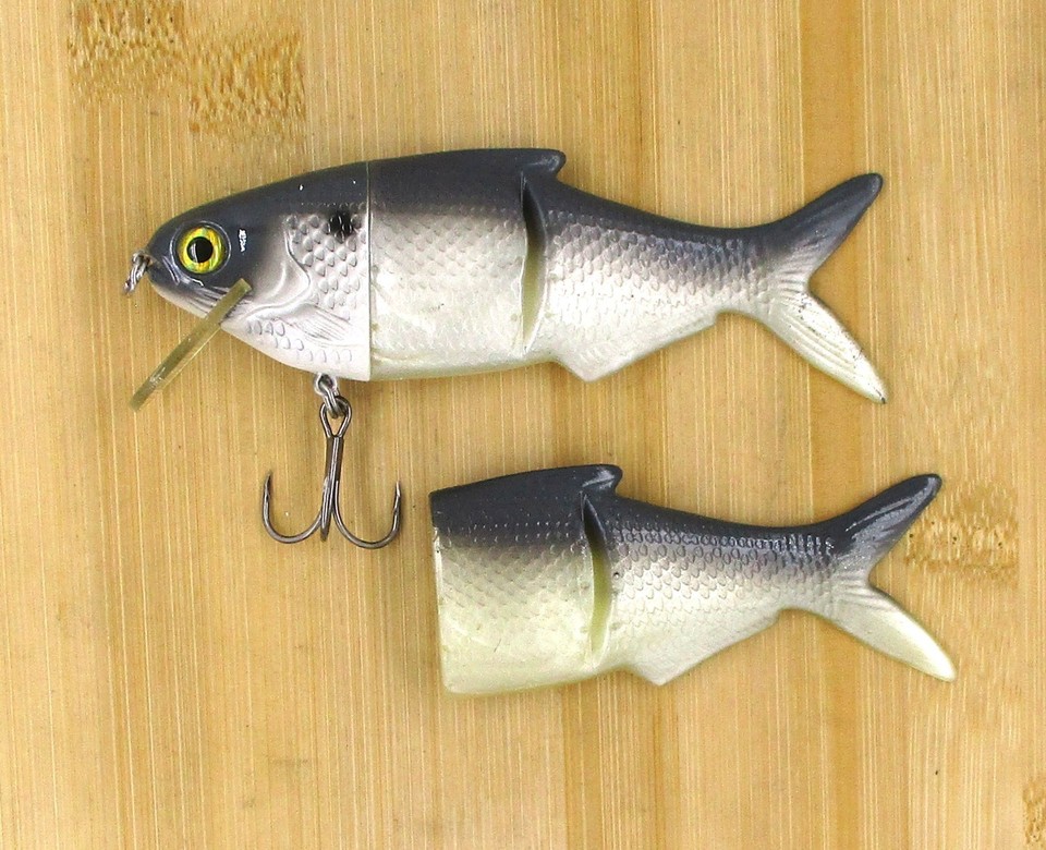 (2) Castaic 5" Hard Head "Real Bait" 1 Oz Swimbaits Gizzard Shad Blue ...