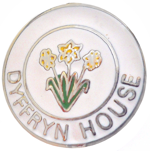 Dyffryn House Pin Badge Glamorgan Wales | eBay UK