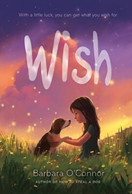 Wish by O'Connor, Barbara [Hardcover] 9780374302733| eBay