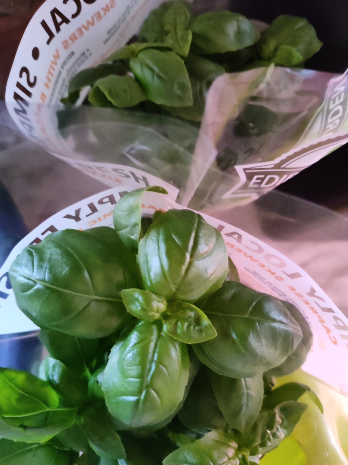 Live Fresh Basil Herb Plant - Free Shipping! | eBay