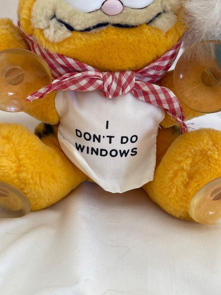 Garfield Plush Cat " I Don't Do Windows" 1981 Dakin 9" w/ Tag (S) | eBay