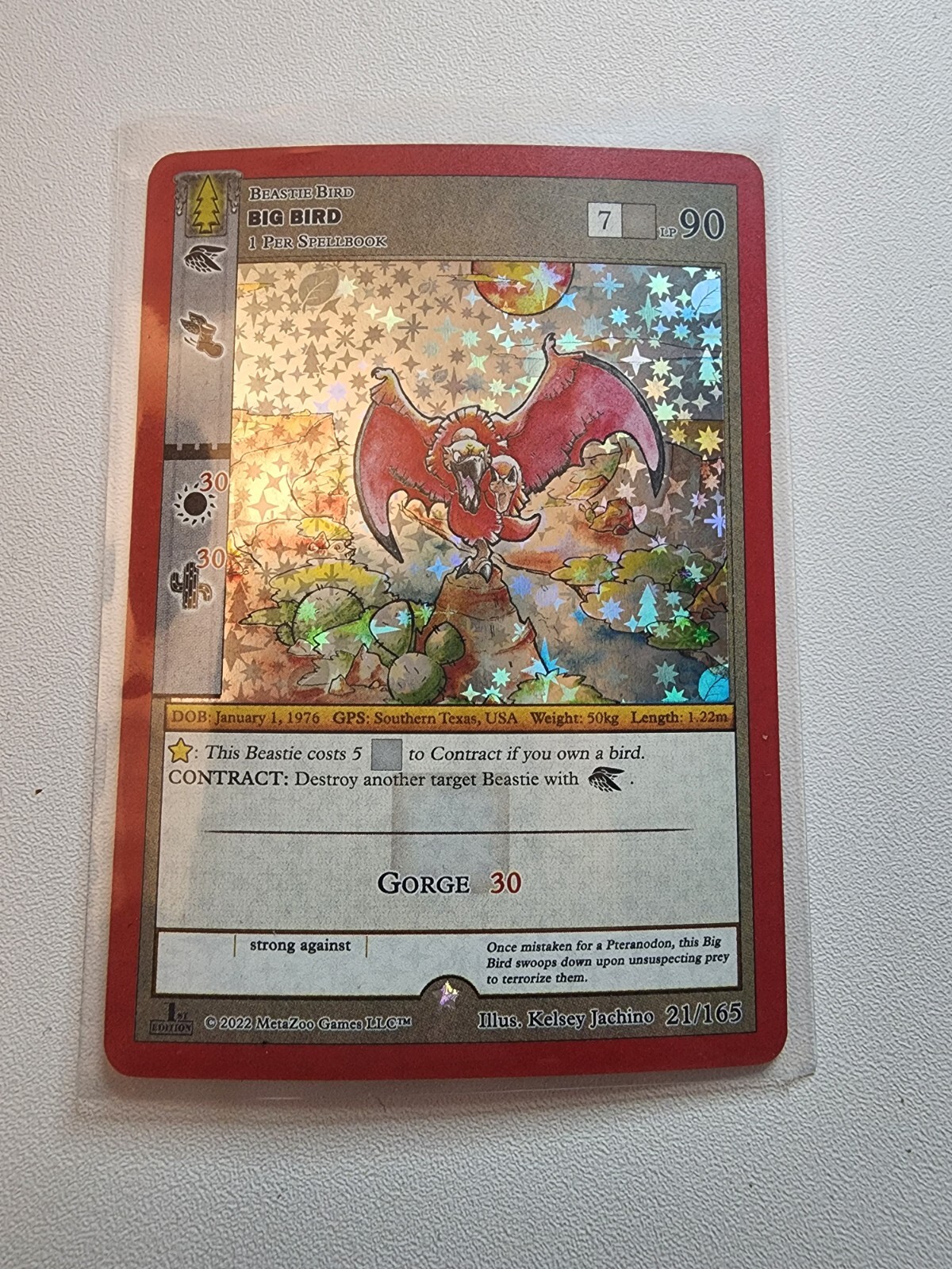 Metazoo Wilderness 1st Edition Big Bird Full Holo 21/165 FH | eBay