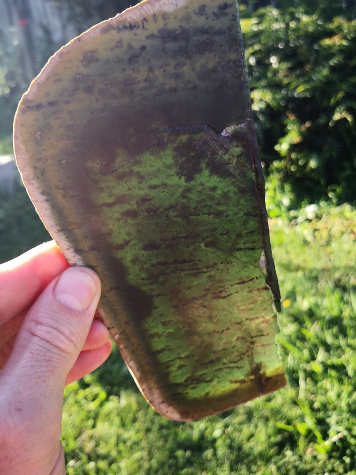 Greenstone Pounamu Natural NZ Nelson Nephrite Jade Kokopu Slab lapidary ...