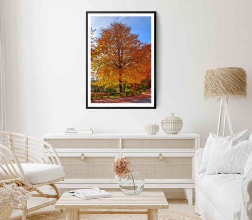 Orange & Red Tree Print, Blue Sky Wall Art,Autumn Framed Nature Wall ...