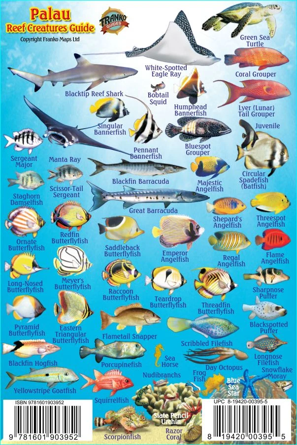 Palau Fish Id
