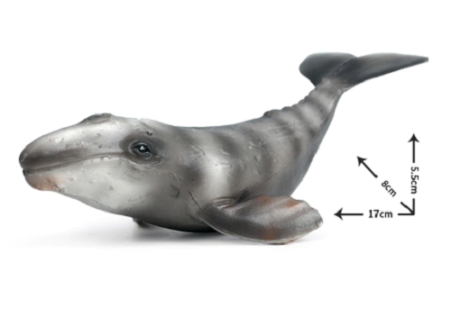 17cm Ocean Whale PVC Toy Fish Sea Animal Figure Kids Gift | eBay