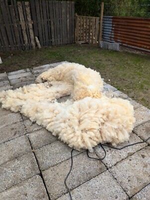 Sheep unwashed raw sheep fleece wool spinning crafts weaving | eBay UK